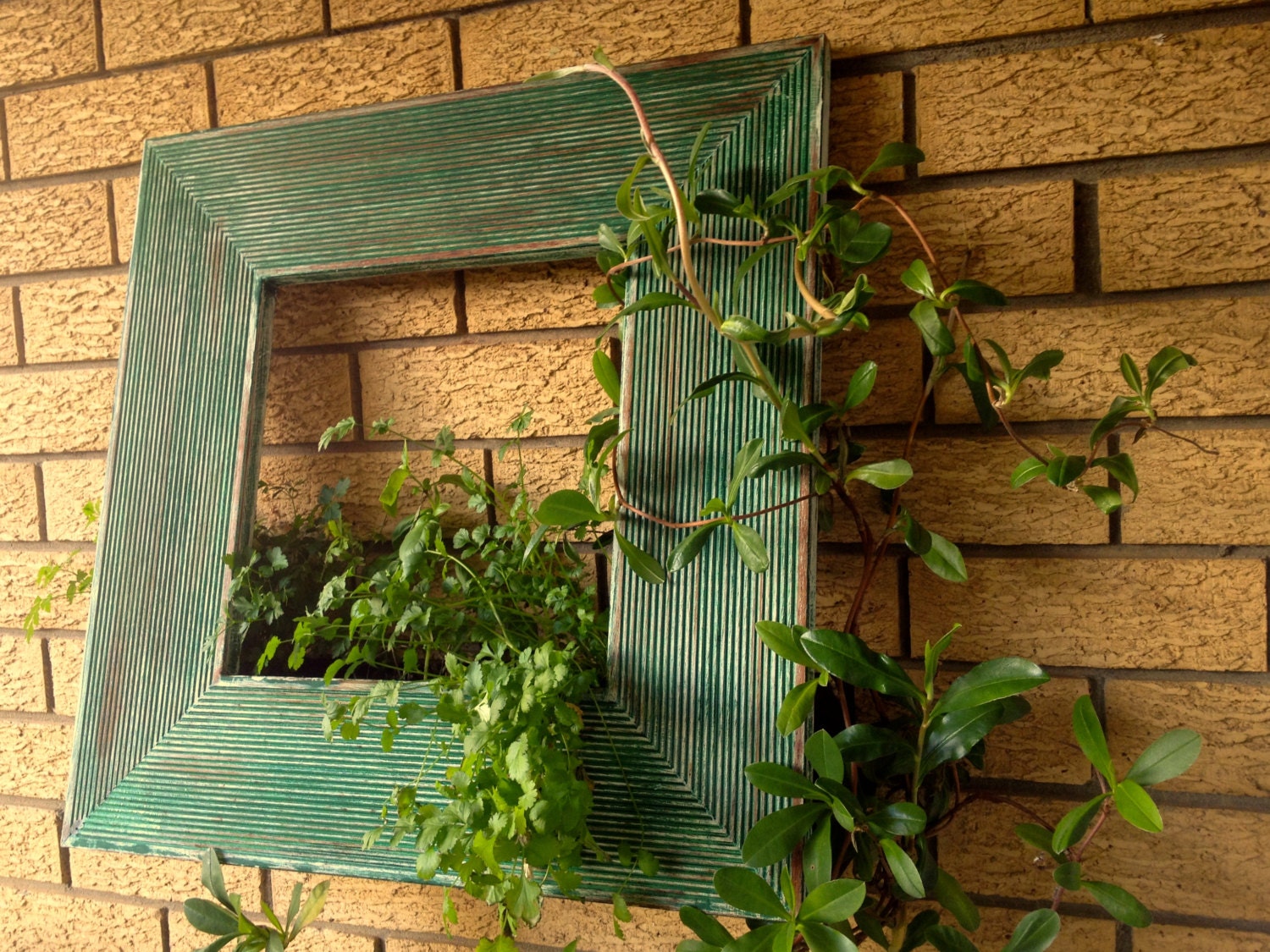 A Framed Planter Box for Herbs and Flowers - Etsy Australia