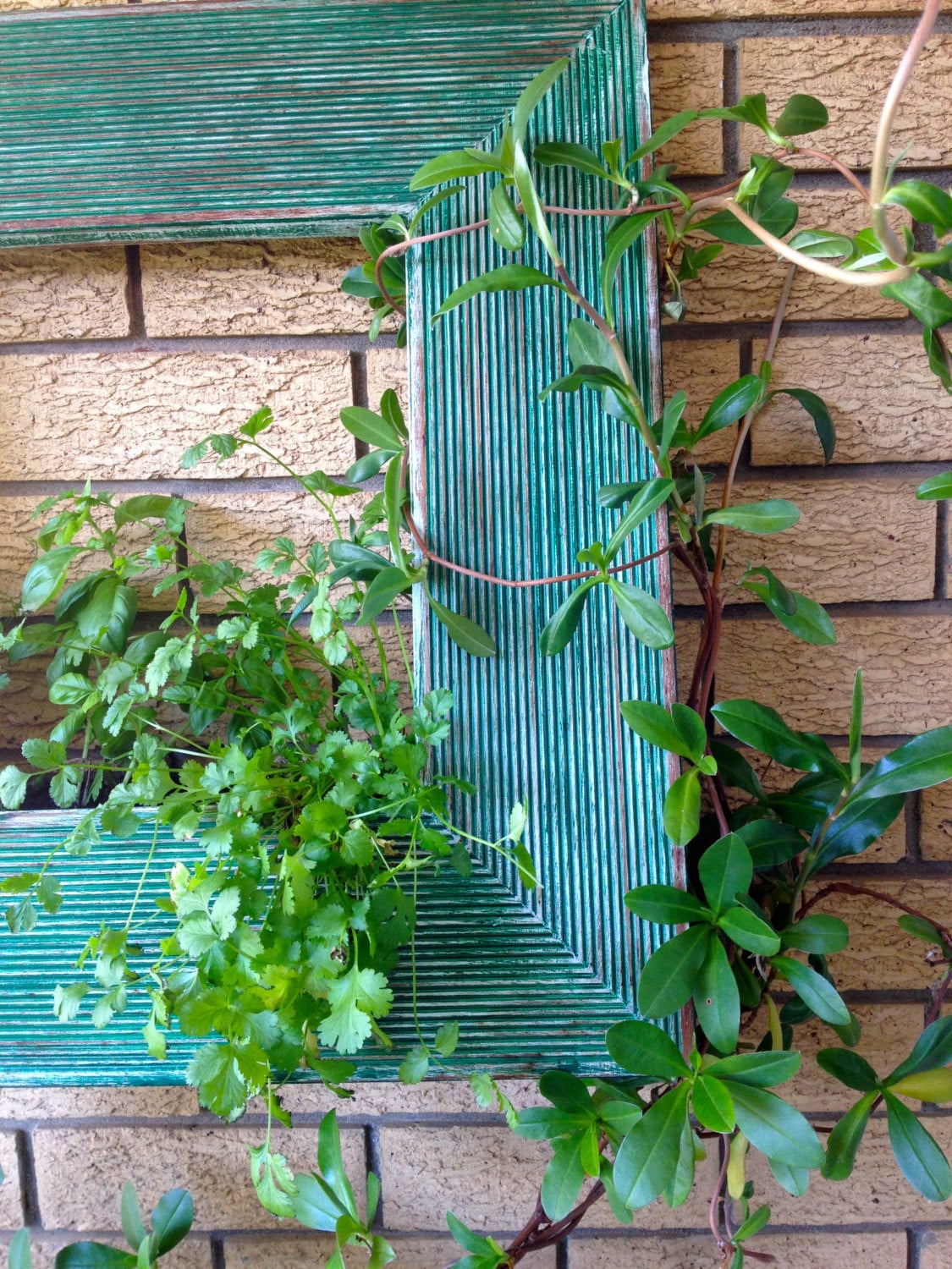 A Framed Planter Box for Herbs and Flowers - Etsy Australia