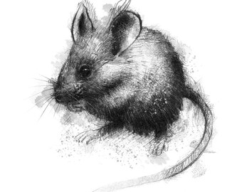 Mouse House Drawing - Etsy