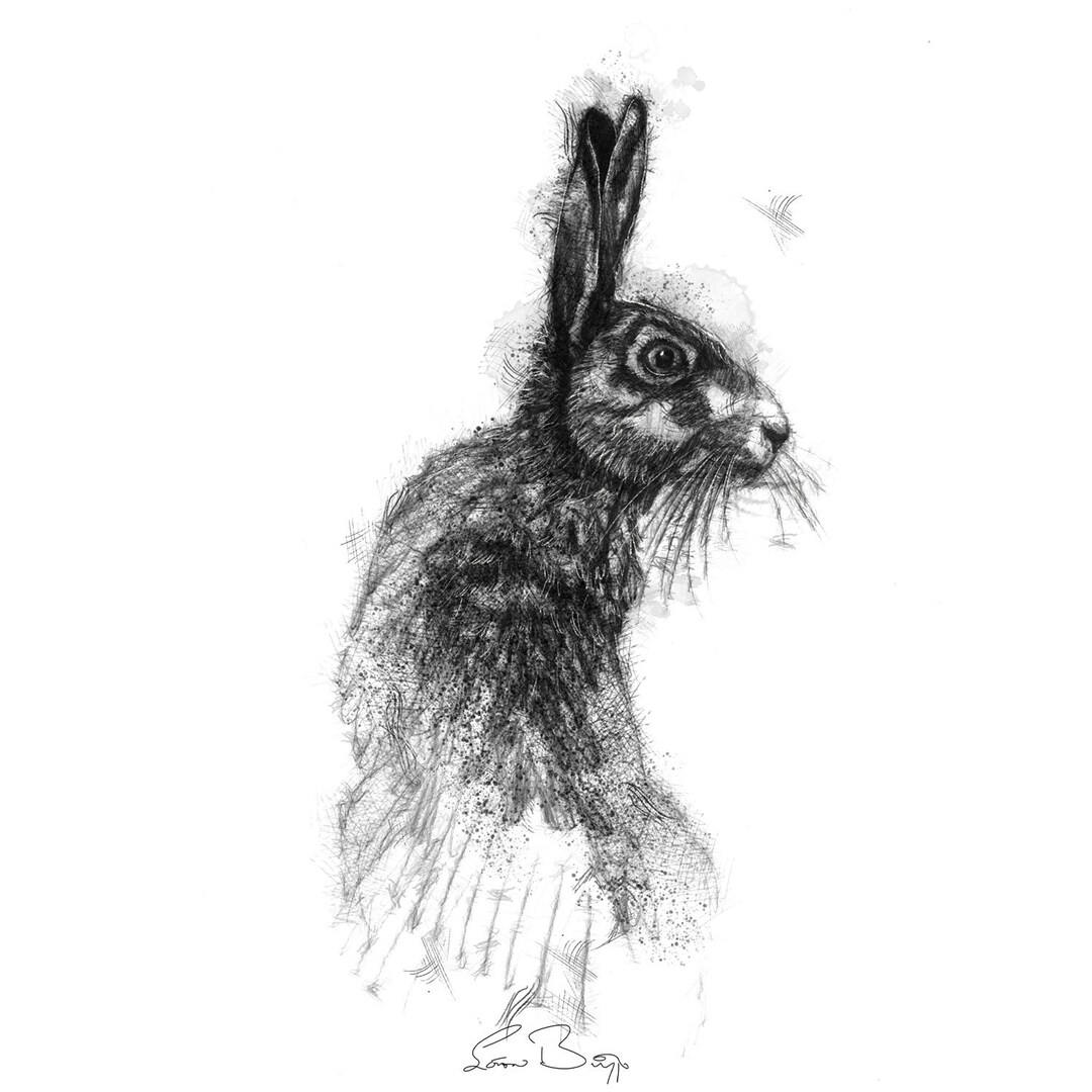 Brown Hare Sketch | Limited Edition Fine Art Print From Original ...