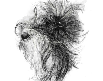 Scruffy Dog | Etsy UK