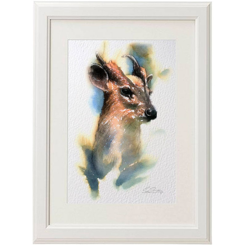 Muntjac Deer Sketch Limited Edition Fine Art Print From - Etsy UK