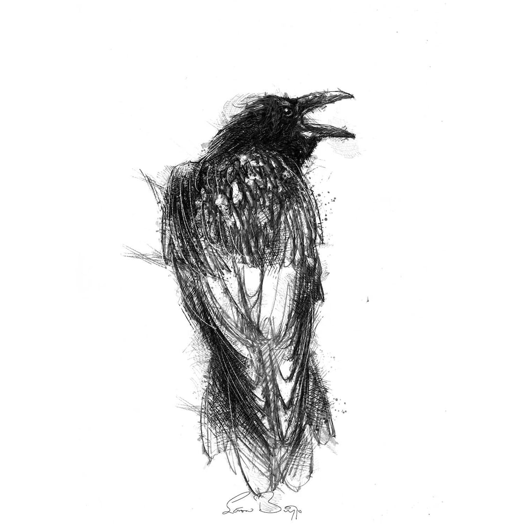 Crow Sketch | Limited Edition Fine Art Print From Original Drawing ...