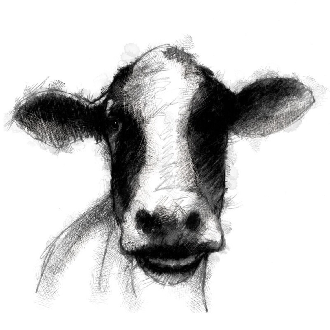 Dairy Cow Sketch Limited Edition Fine Art Print From - Etsy