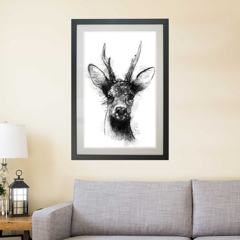 Roe Deer Sketch | Limited Edition Fine Art Print From Original Drawing ...
