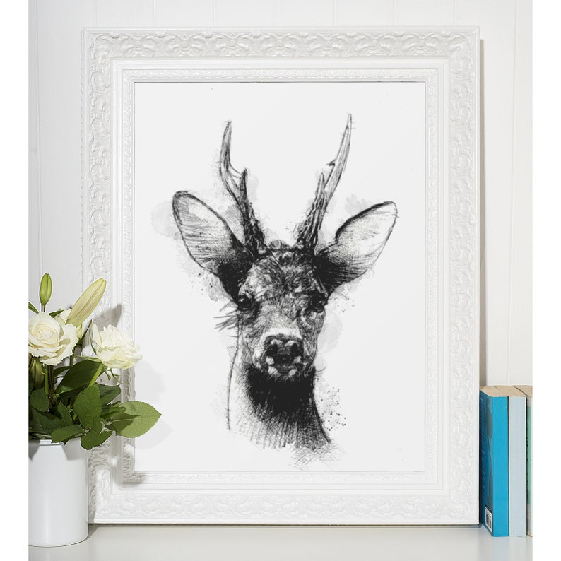 Roe Deer Sketch | Limited Edition Fine Art Print From Original Drawing ...