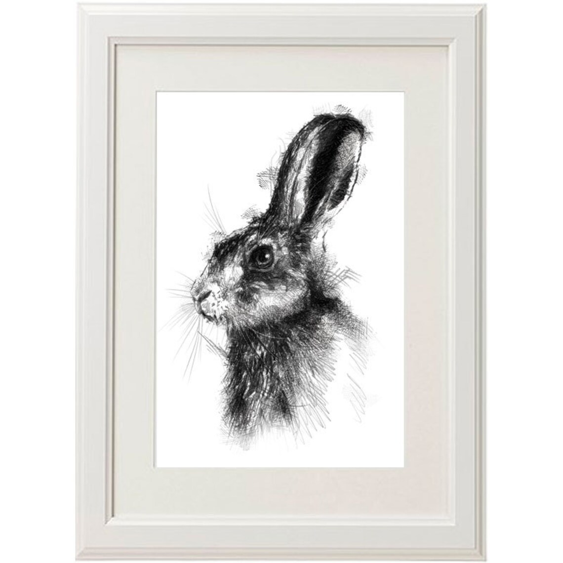 European Brown Hare Sketch | Limited Edition Fine Art Print From ...