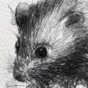 Field Mouse Sketch Limited Edition Fine Art Print From - Etsy