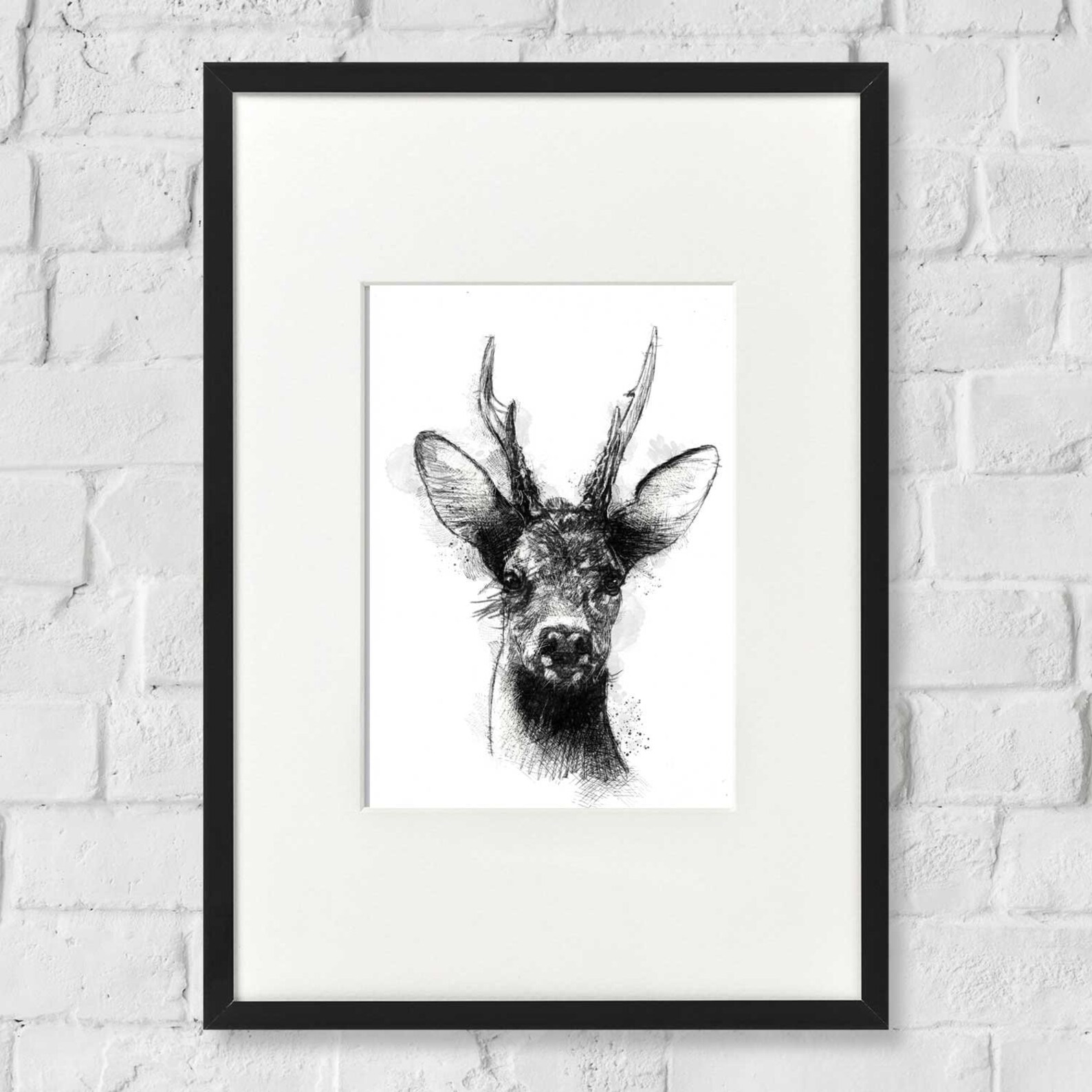 Roe Deer Sketch | Limited Edition Fine Art Print From Original Drawing ...