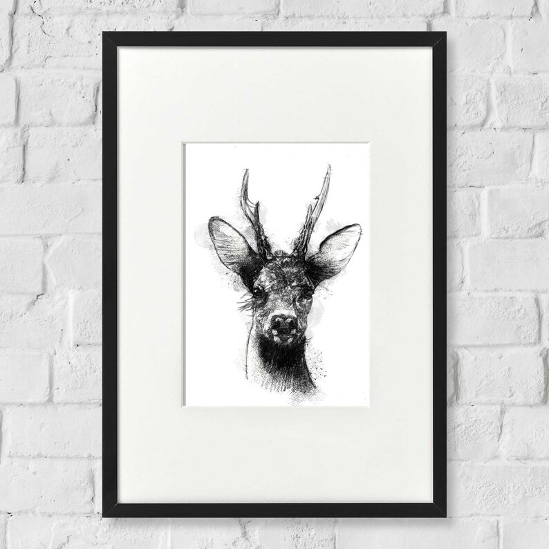 Roe Deer Sketch | Limited Edition Fine Art Print From Original Drawing ...