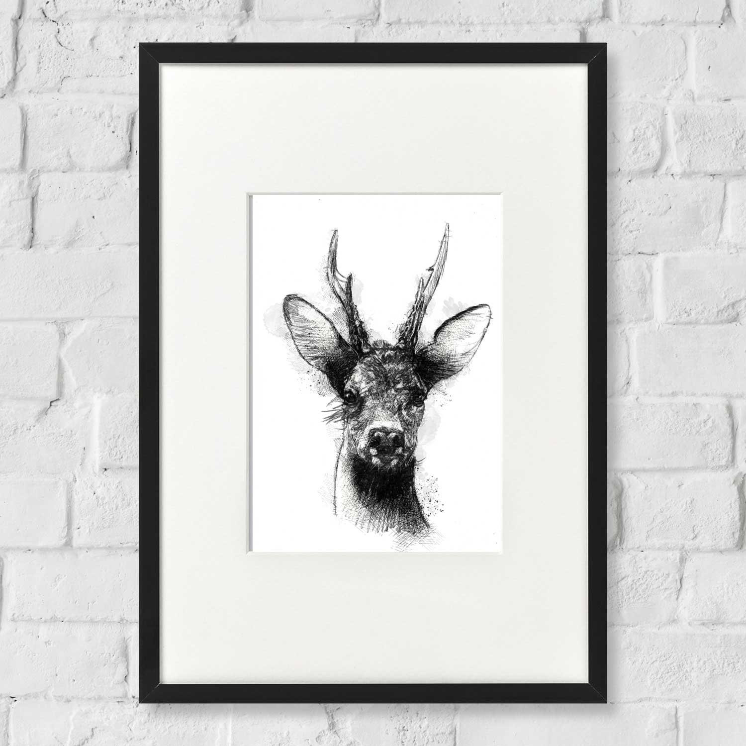 Roe Deer Sketch | Limited Edition Fine Art Print From Original Drawing ...