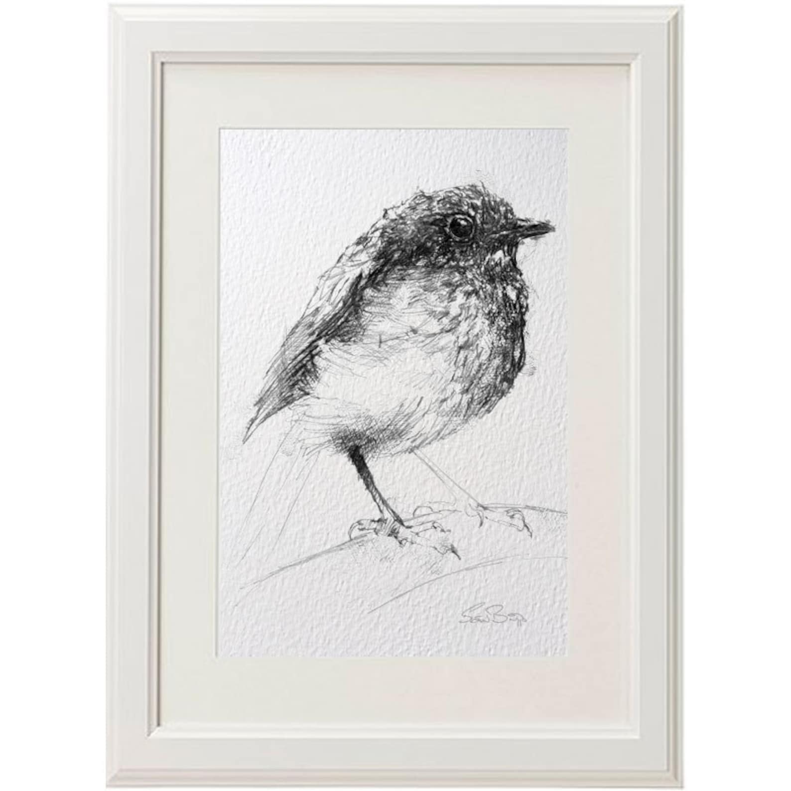British Robin Sketch Limited Edition Fine Art Print From | Etsy