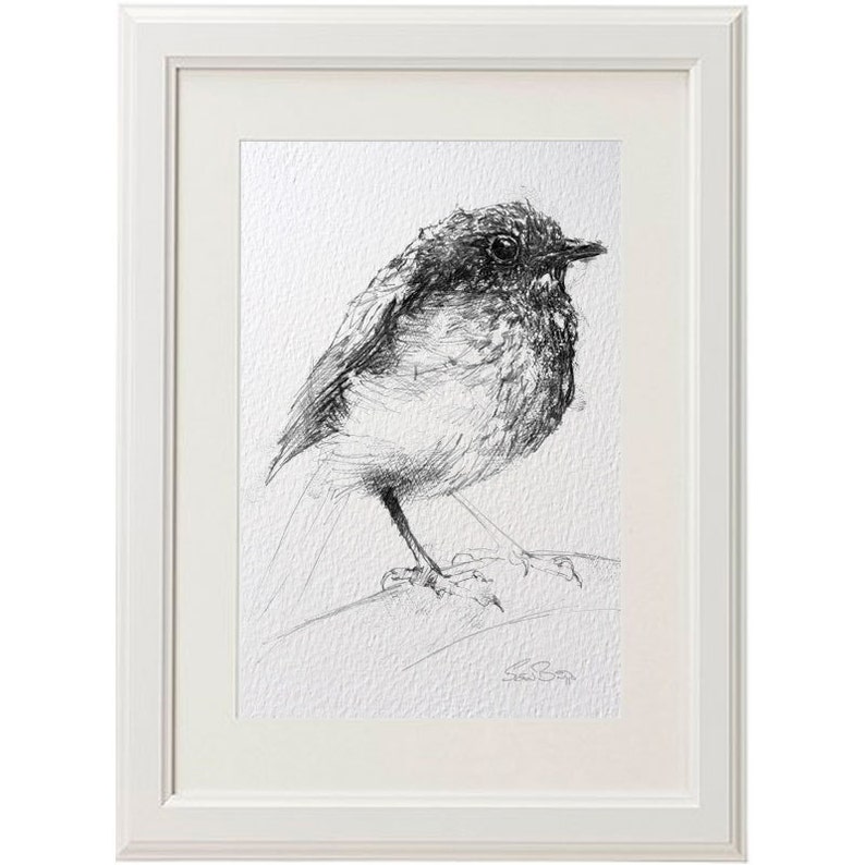 British Robin Sketch Limited Edition Fine Art Print From - Etsy