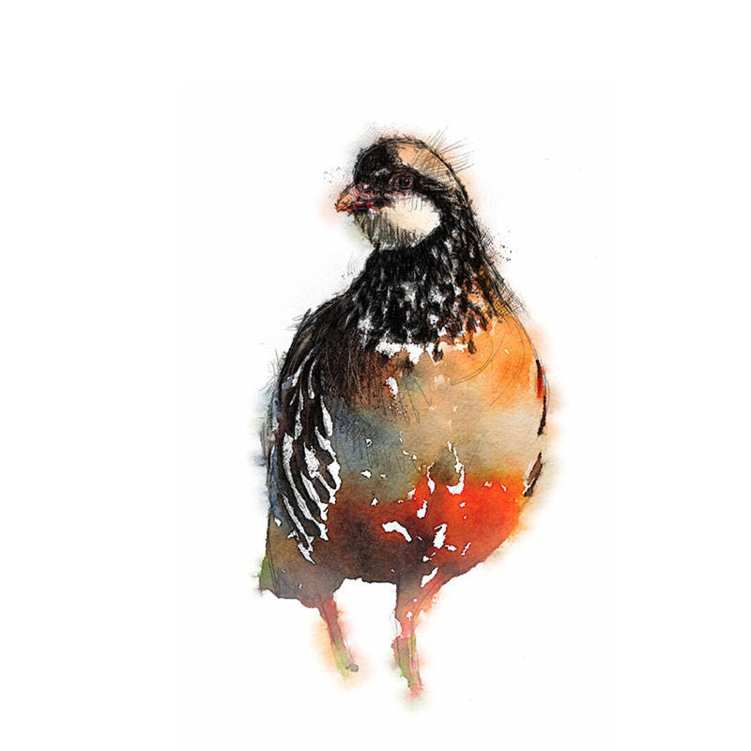Partridge Snow Sketch | Limited Edition Fine Art Print From Original ...
