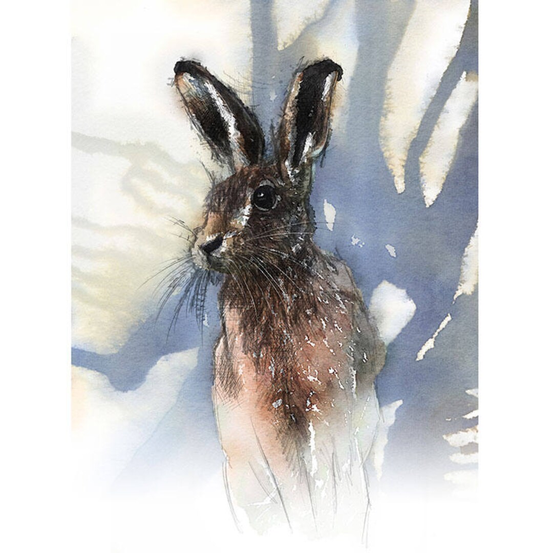 Brown Hare Alert Sketch | Limited Edition Fine Art Print From Original ...