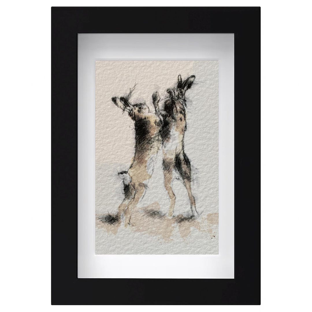 Hares Boxing Mini Sketch Original Hand Water-coloured Artwork. Free ...