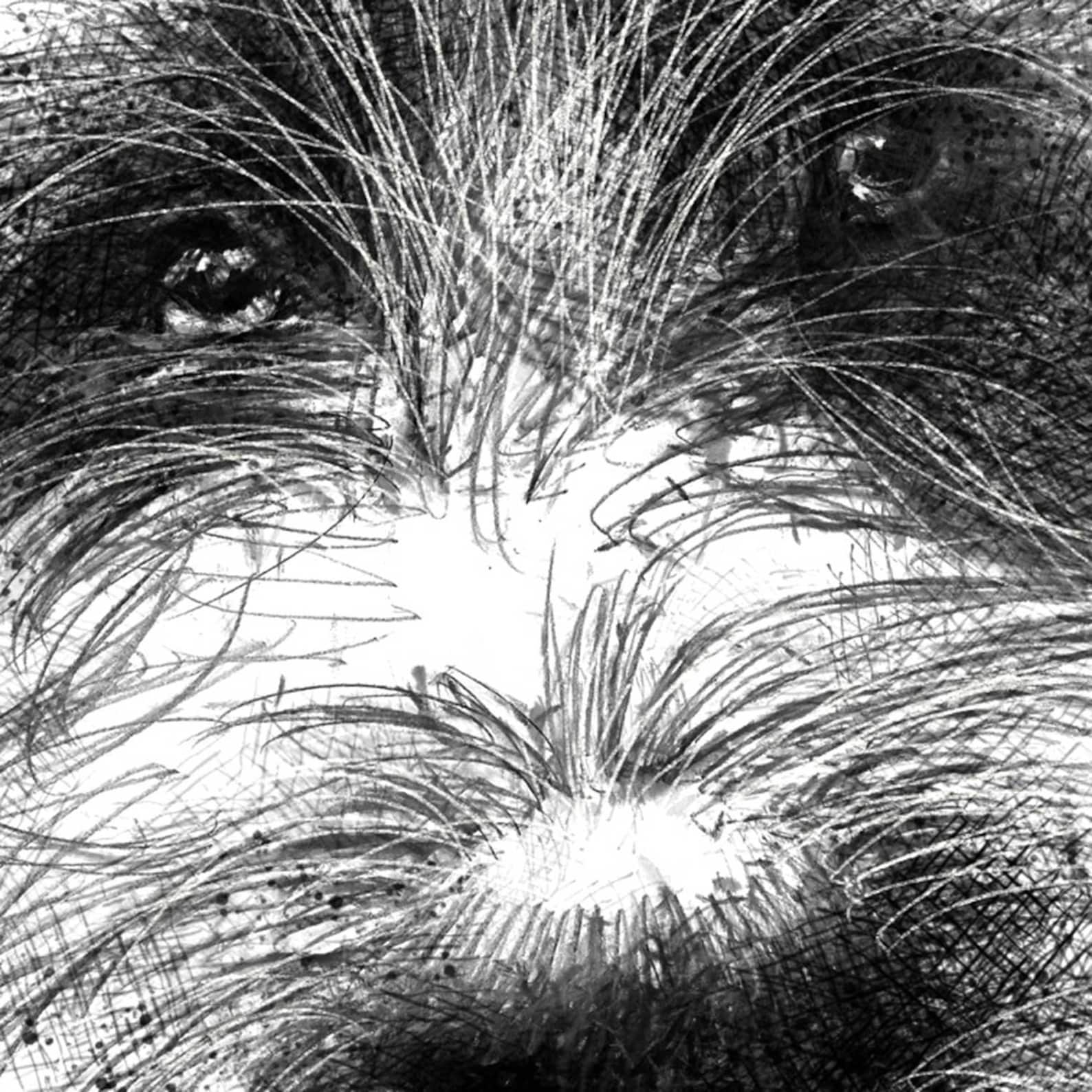 Scruffy Dog | Limited Edition Fine Art Print From Original Drawing ...