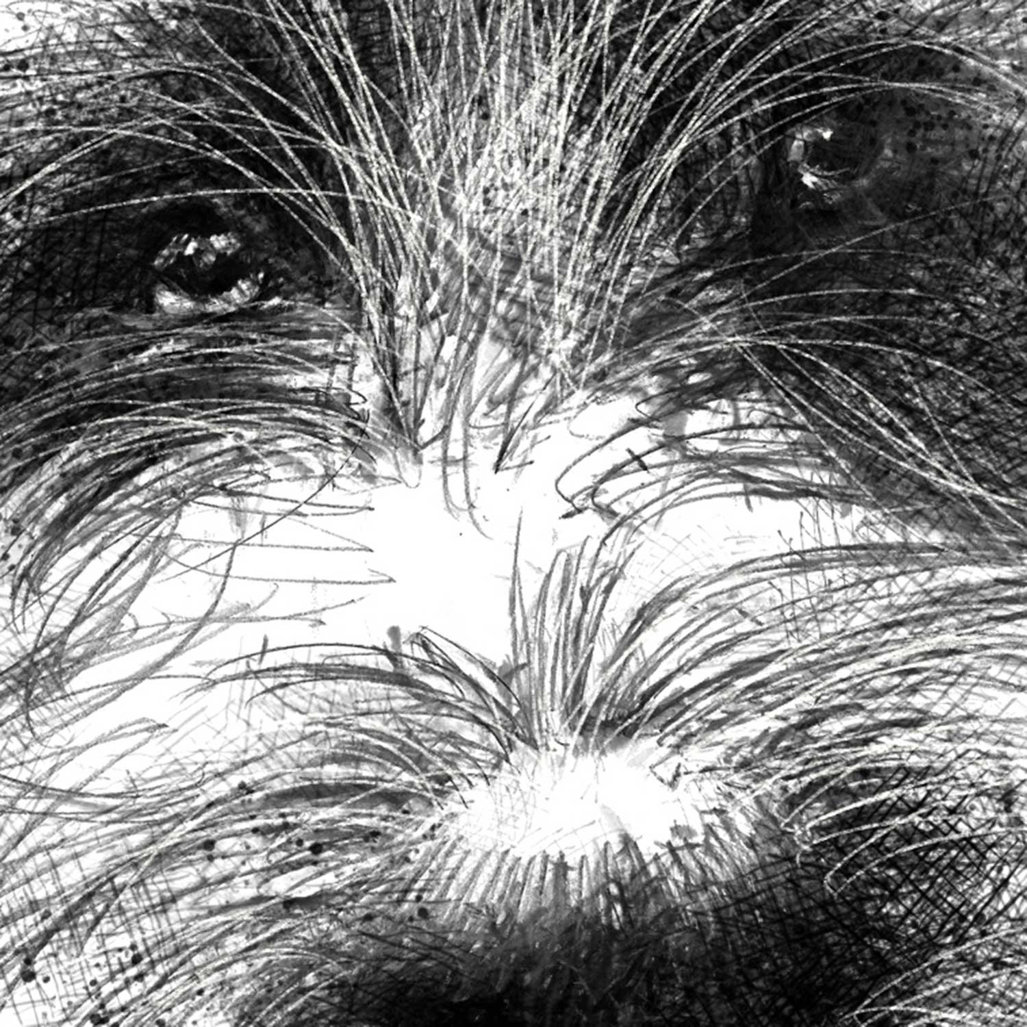 Scruffy Dog Limited Edition Fine Art Print From Original | Etsy UK