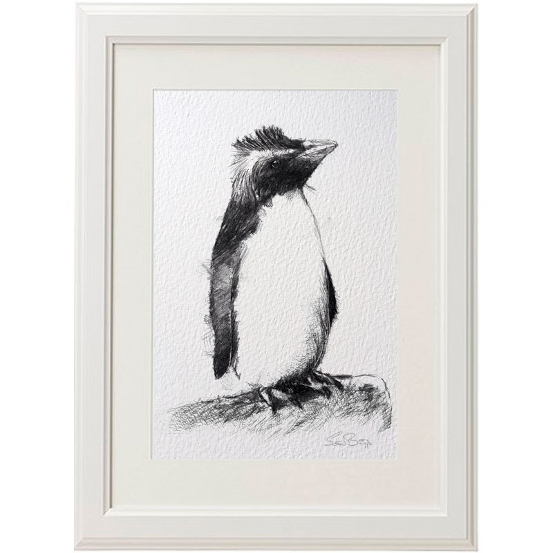 Rockhopper Penguin Sketch | Limited Edition Fine Art Print From ...
