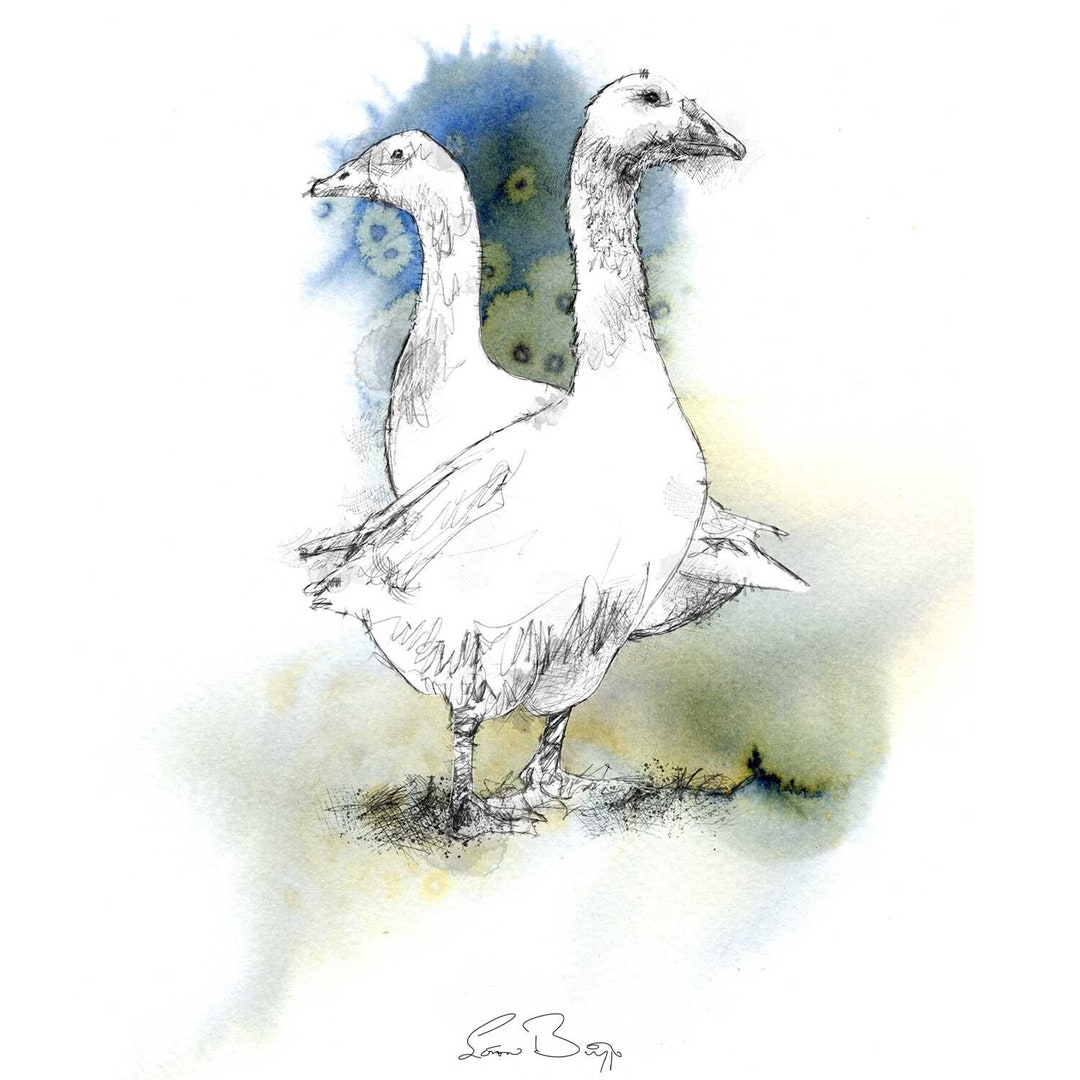 Two Geese Sketch Limited Edition Fine Art Print From - Etsy