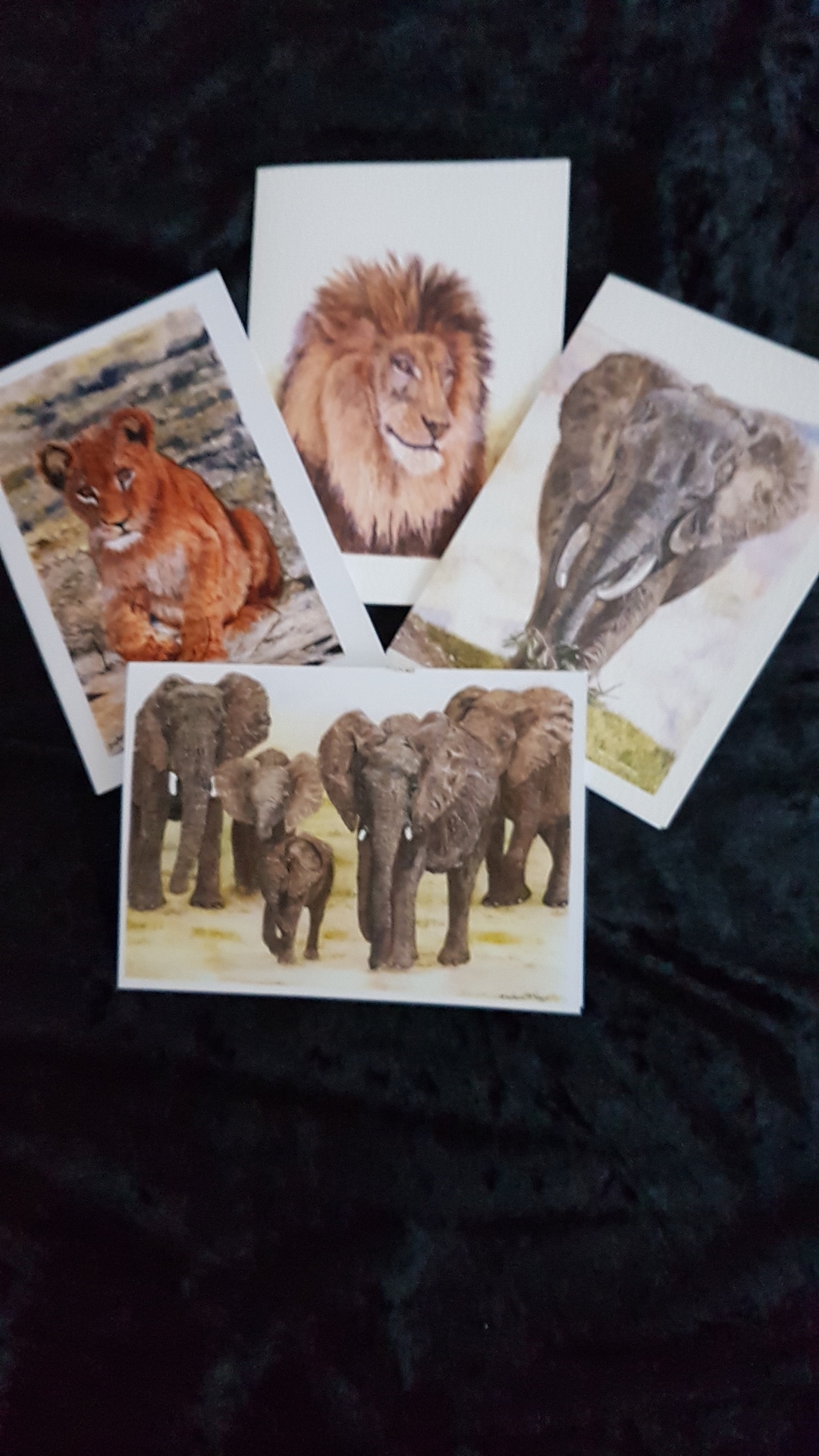 A Collection of 4 African Wild Animal Greeting Cards Animal - Etsy