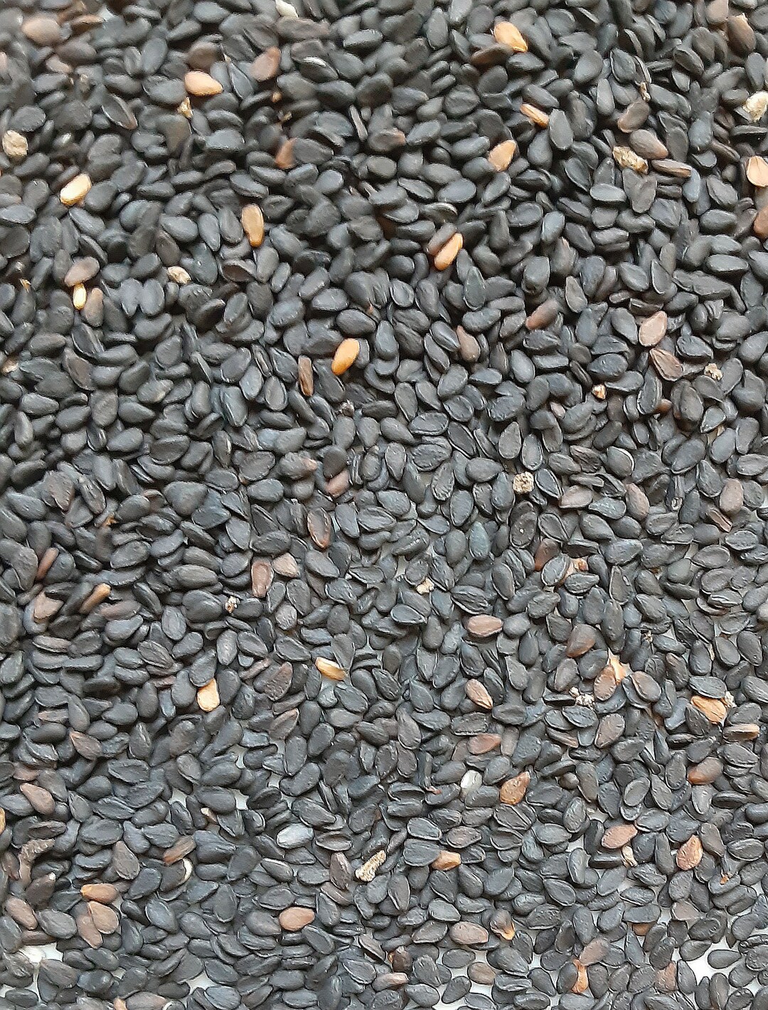 Organic Kurogoma Sesame - Etsy