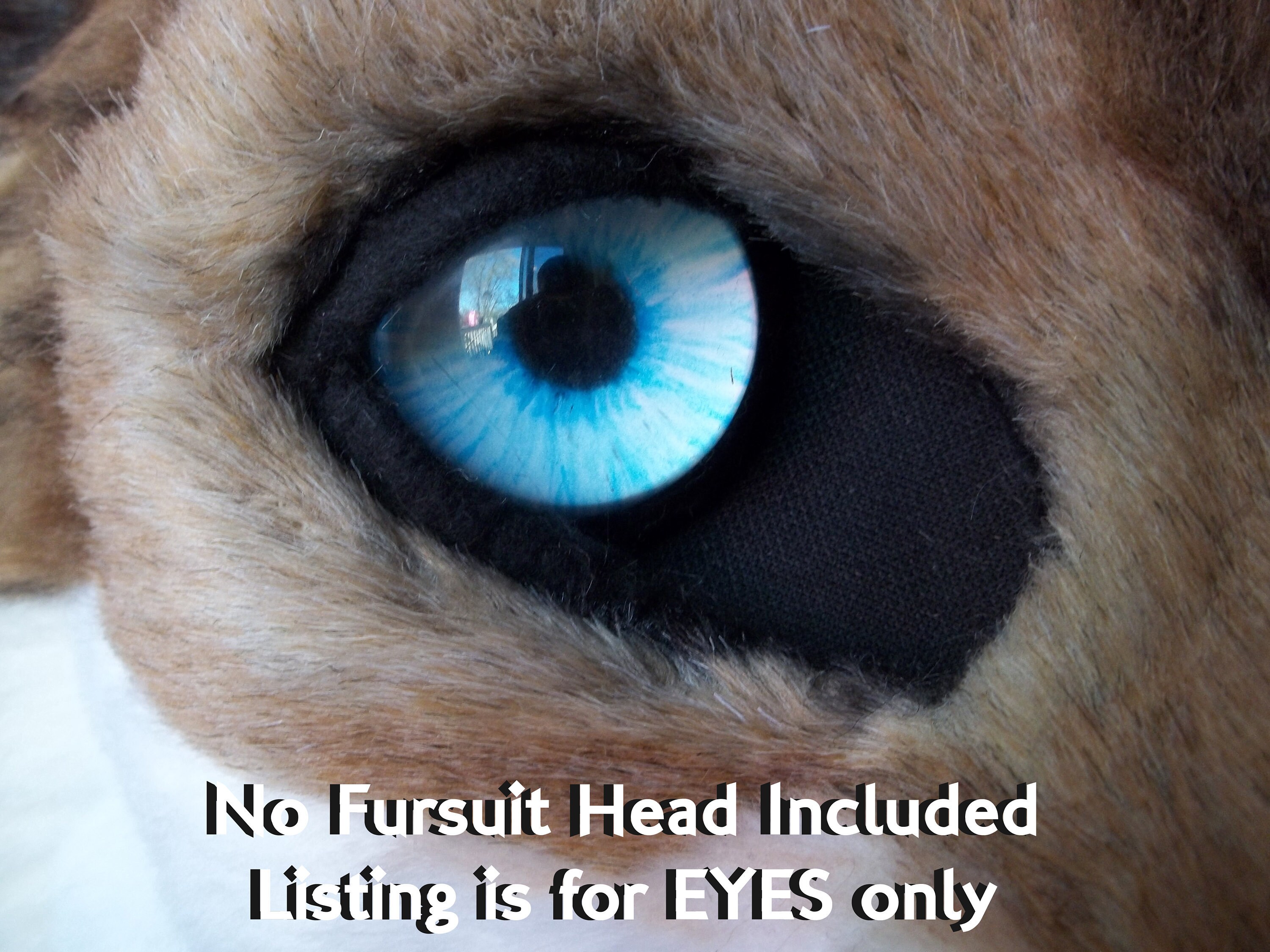 Custom Fursuit Eyes .75 2 Please Send | Etsy Canada