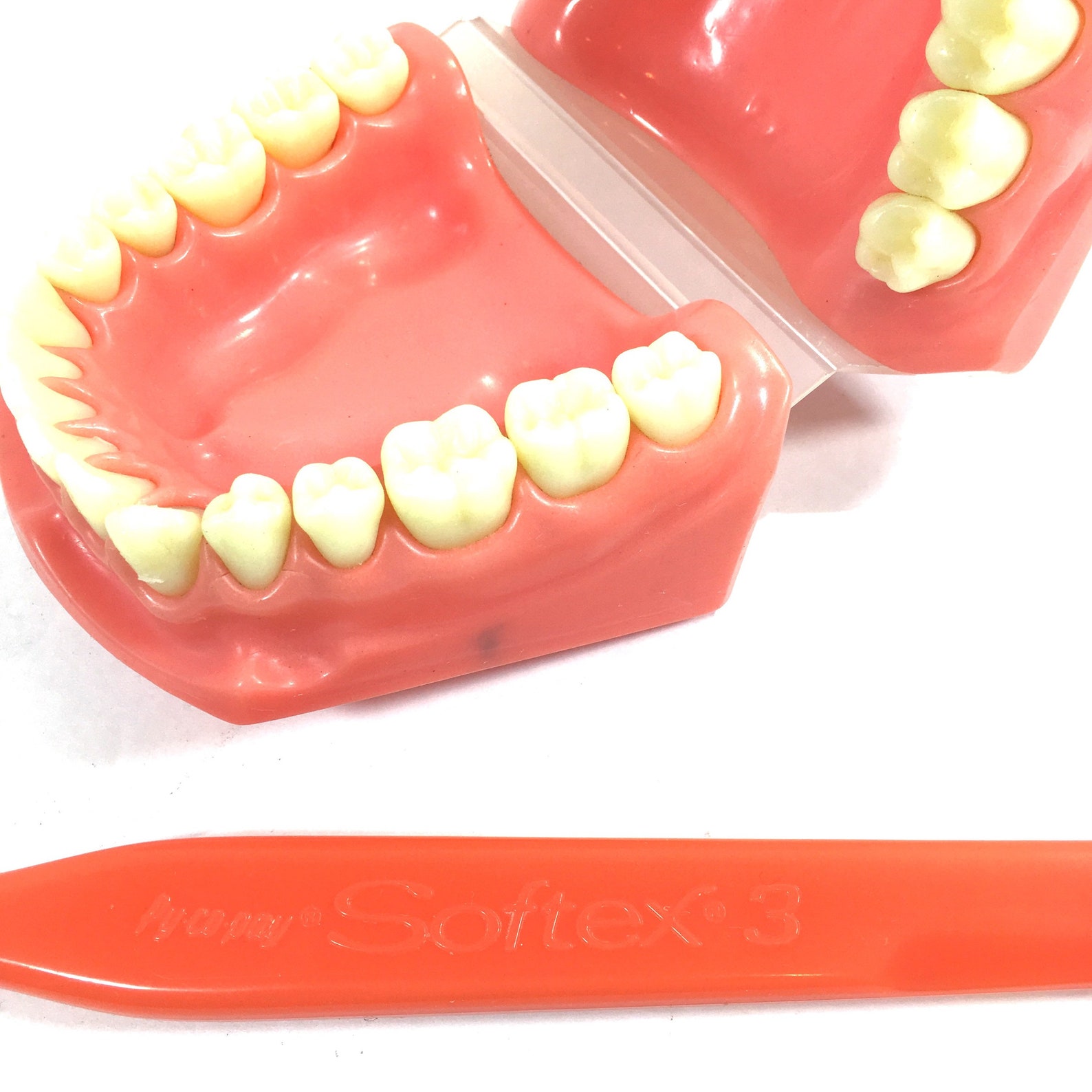 Vintage Dental Collectibles Jumbo Advertising Toothbrush Huge - Etsy