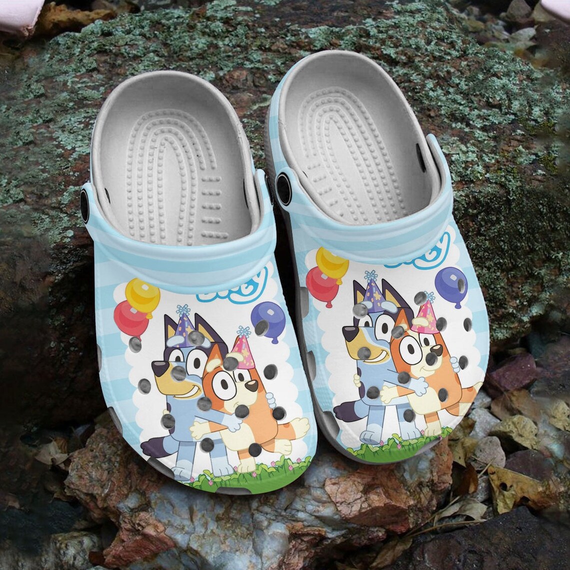 Personalized Bluey Family Birthday Clog Shoes, Clogs Shoes for Men ...