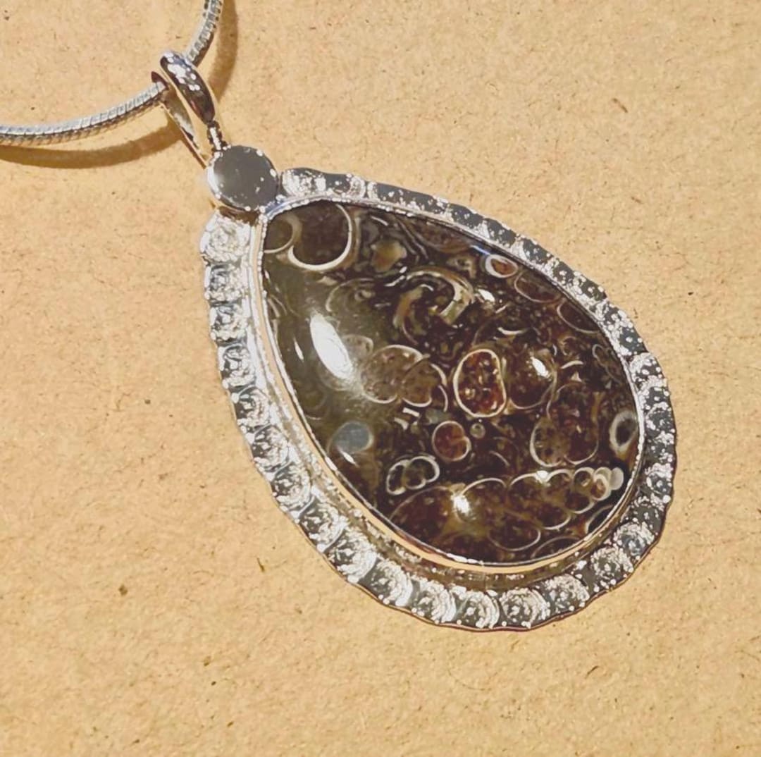 Natural Turtella Fossil Sterling Silver Pendant With Chain - Etsy