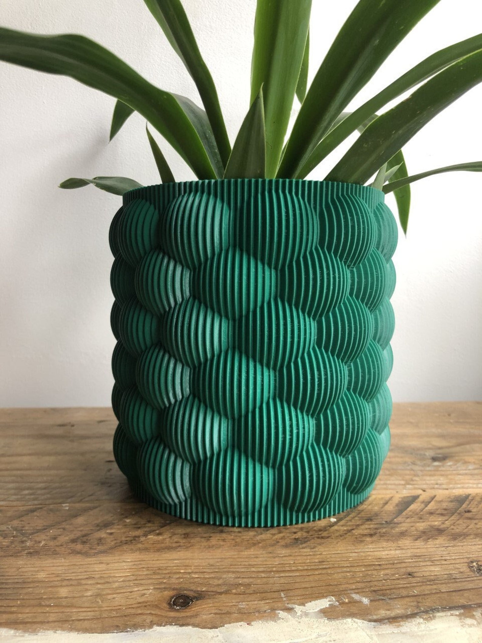 BUBBLE Plant Pot Plant Based Plastic Eco-friendly 3D - Etsy