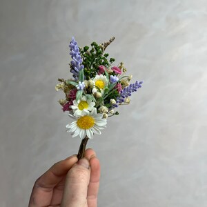 Meadow Daisy Boutonniere Spring Flower Buttonhole Groom Wildflowers ...