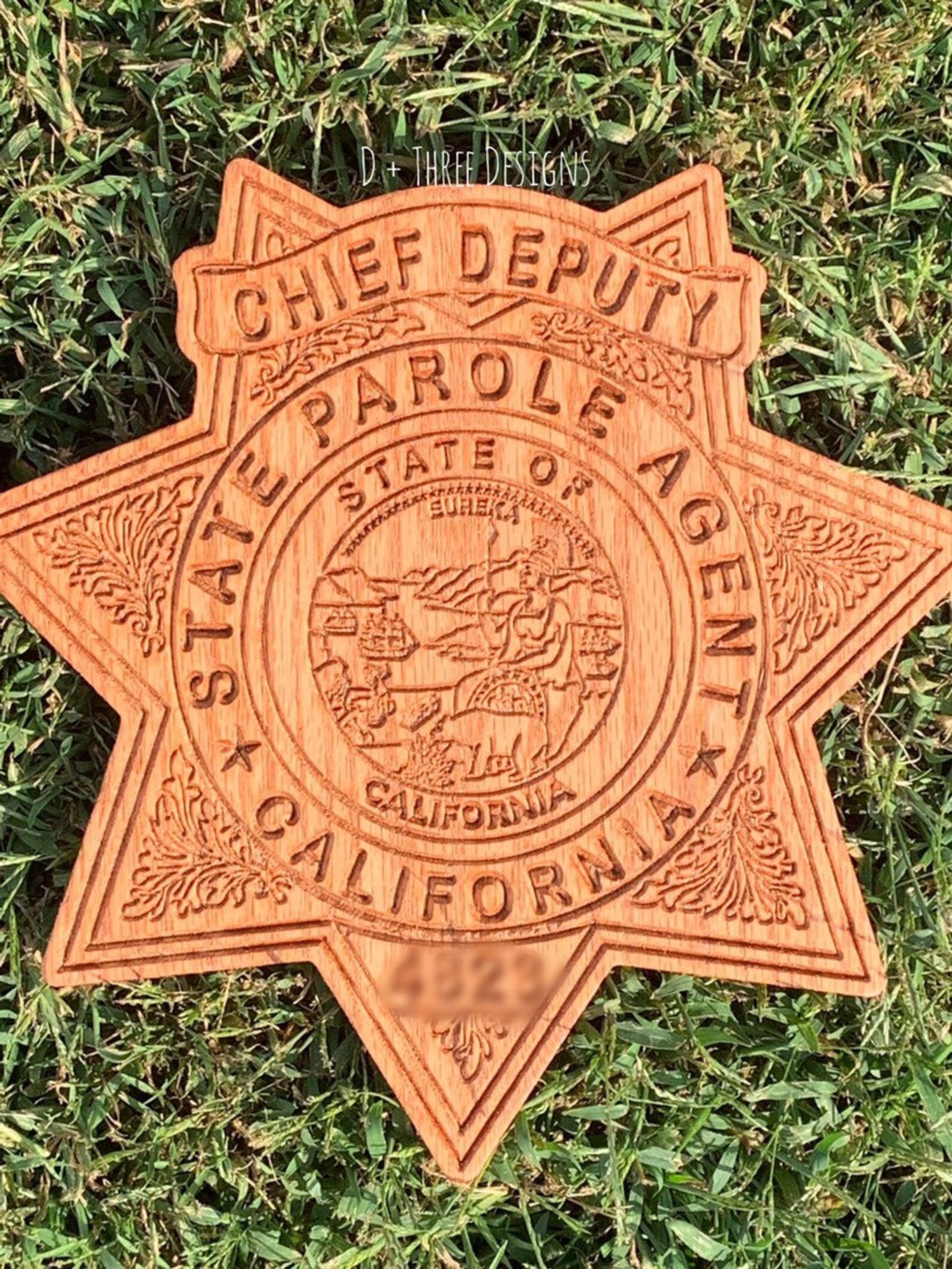 California State Parole Agent Badge / Parole Agent Badge / - Etsy UK