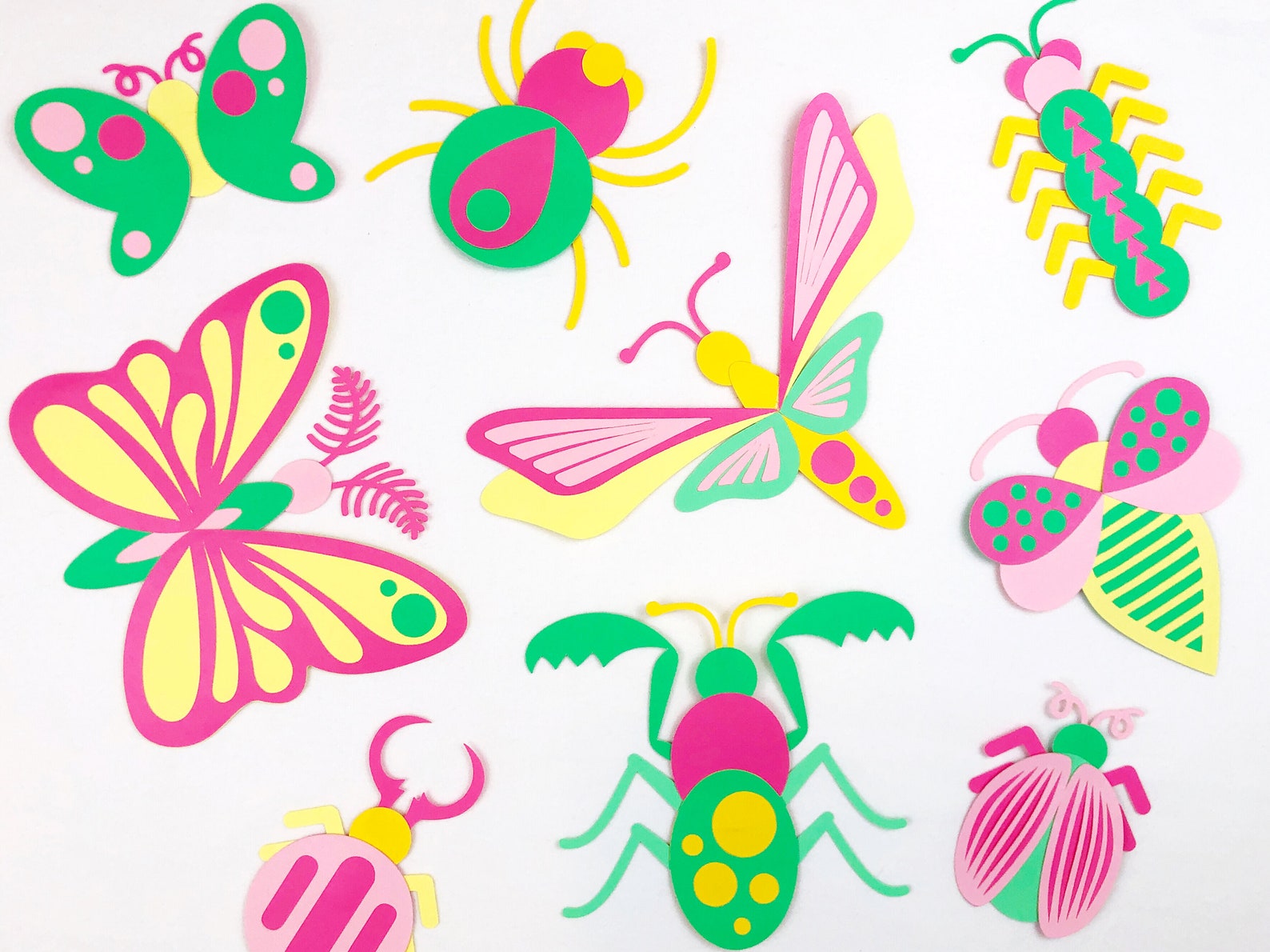 DIY Insect Kit Create Your Own Beetles Butterflies and Bugs | Etsy