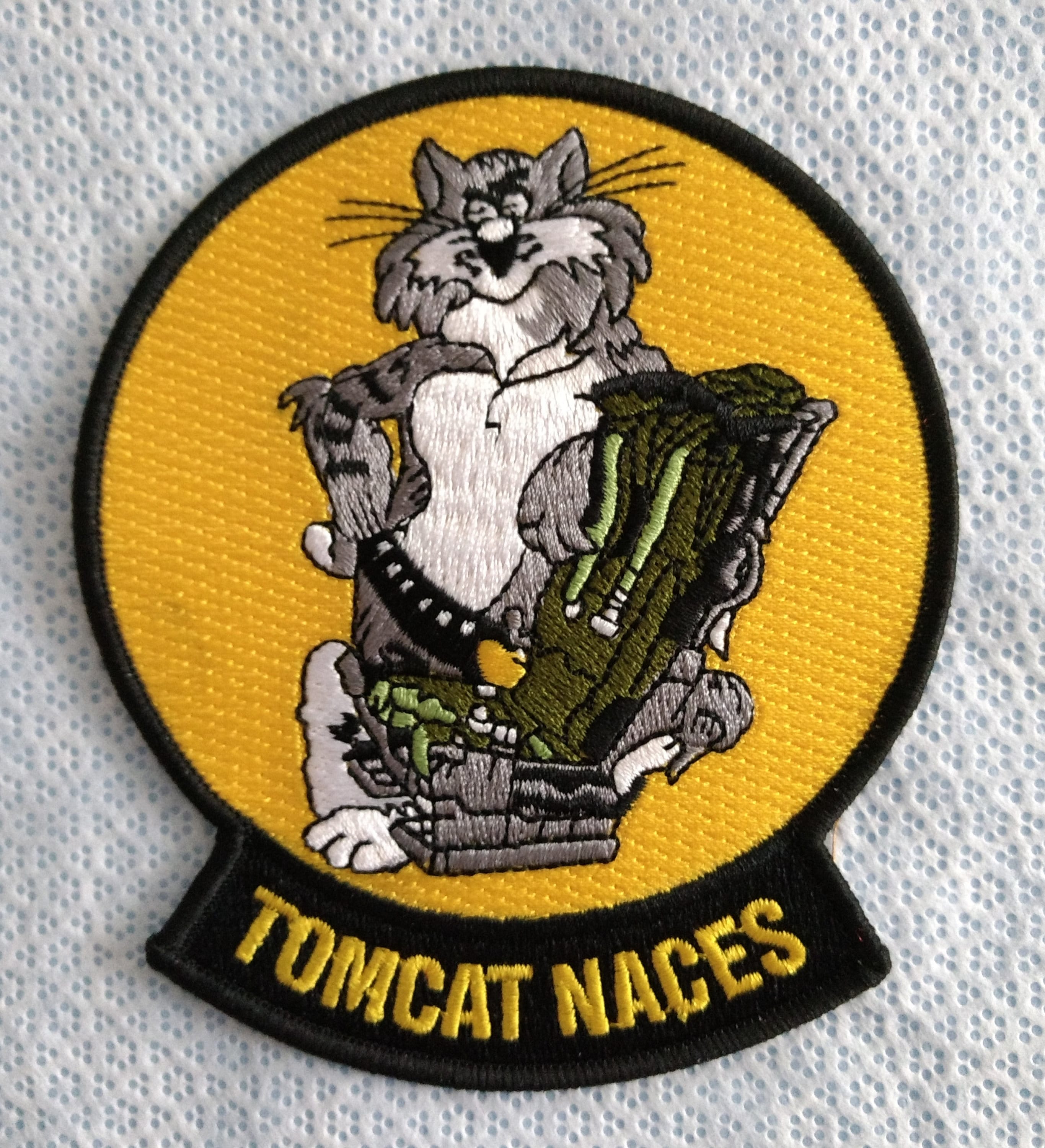 F-14 Tomcat NACES - Ejection Seat - VF Fighter Squadron Collectors ...