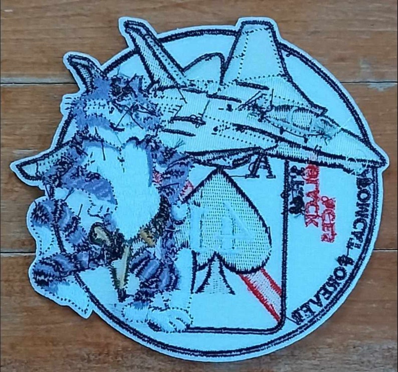 F-14 Tomcat Black Aces VF Fighter Squadron Collectors LARGE 5 Inch ...