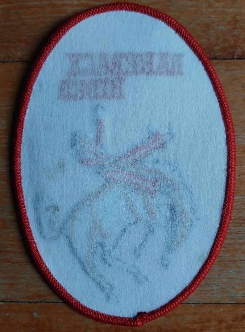 Bareback Rider Horse Cowboy Western NFR Rodeo Collectors Patch - Etsy