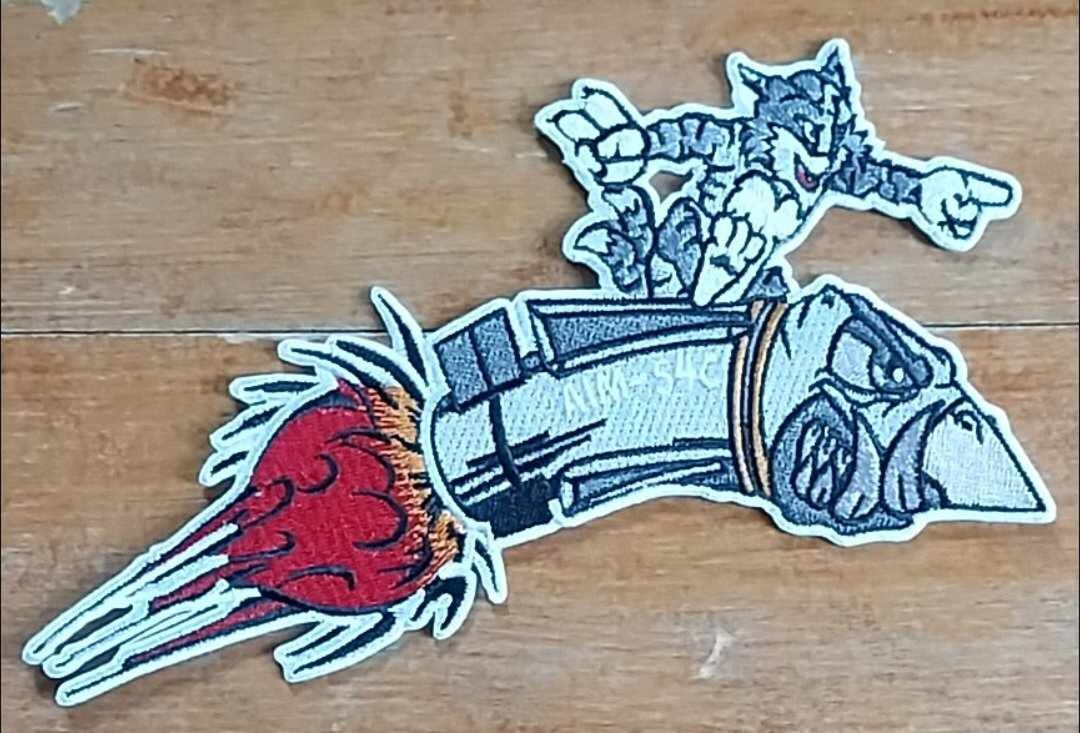 F-14 Tomcat AIM-54C Phoenix AAM Fighter Squadron Collectors LARGE ...