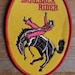 Bareback Rider Horse Cowboy Western NFR Rodeo Collectors Patch - Etsy