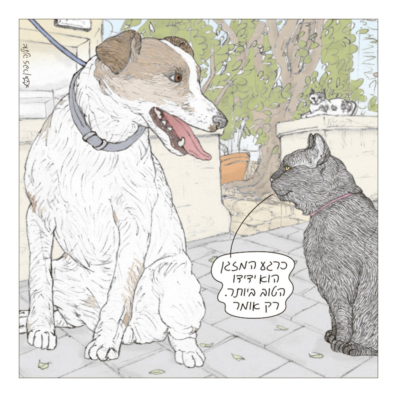 Cats Print - 'man's Best Friend' in Hebrew - Featuring Rafi, the Famous ...