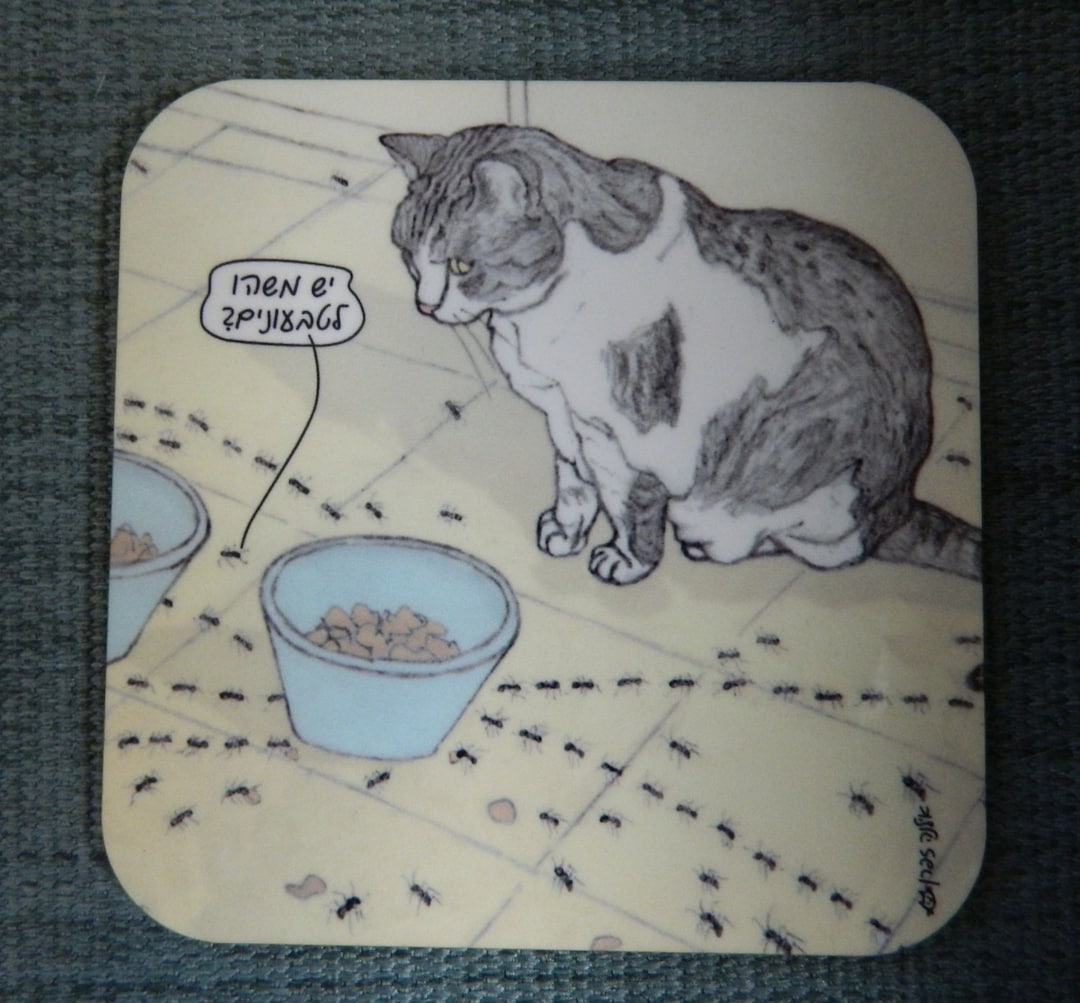 Cats Coaster - Anything for Vegans? in Hebrew - Featuring Spageti, the ...