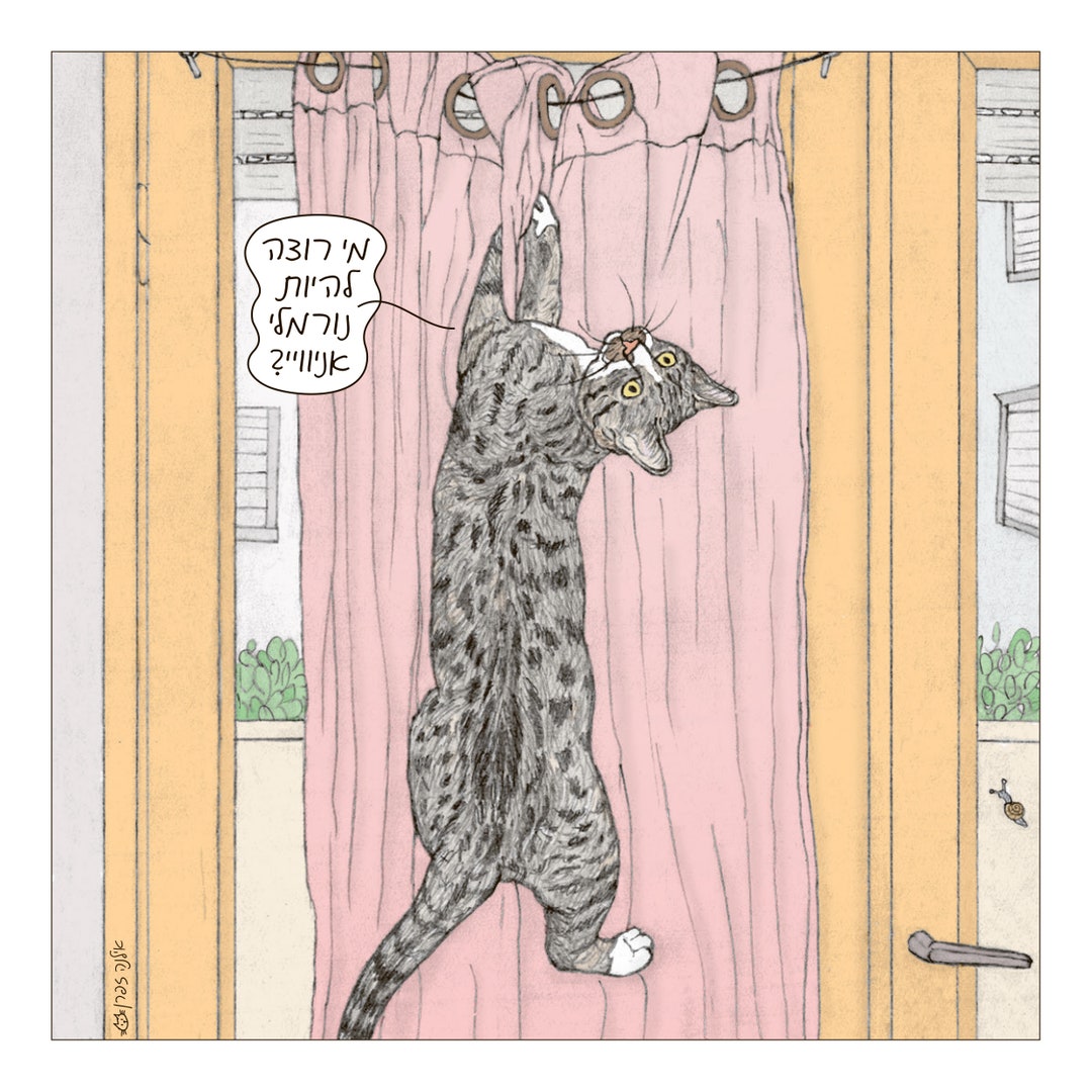 Cats Print - 'who Wants to Be Normal Anyway' in Hebrew - Featuring ...