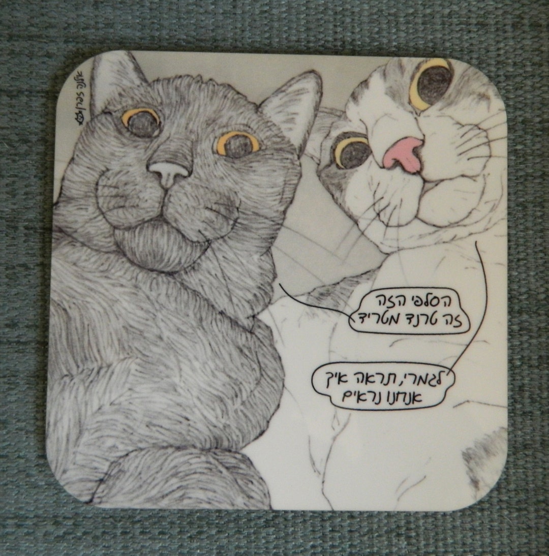 Cats Coaster - Selfie in Hebrew - Featuring Rafi and Spageti, the ...
