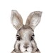 Beautiful Watercolor Rabbit Portrait, Nursery Decor, Animal Print Kids ...