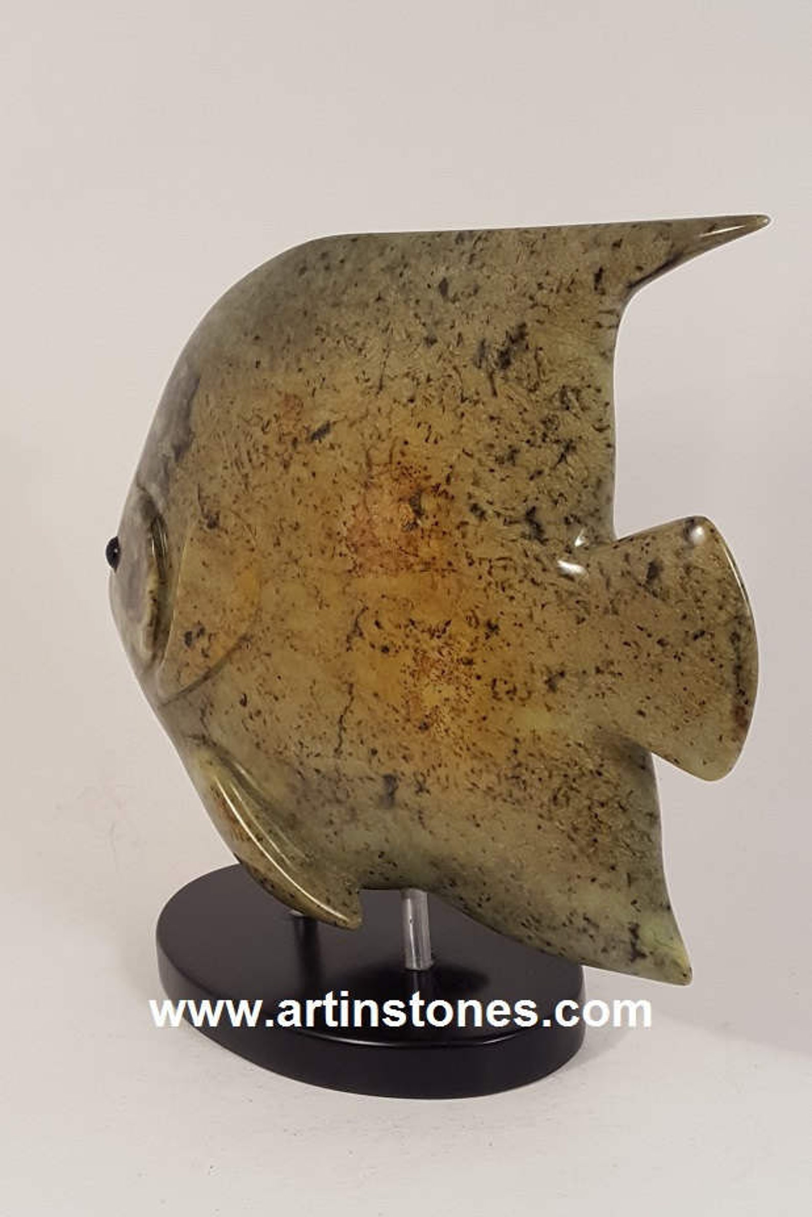 Angelfish Stone Sculpture - Etsy
