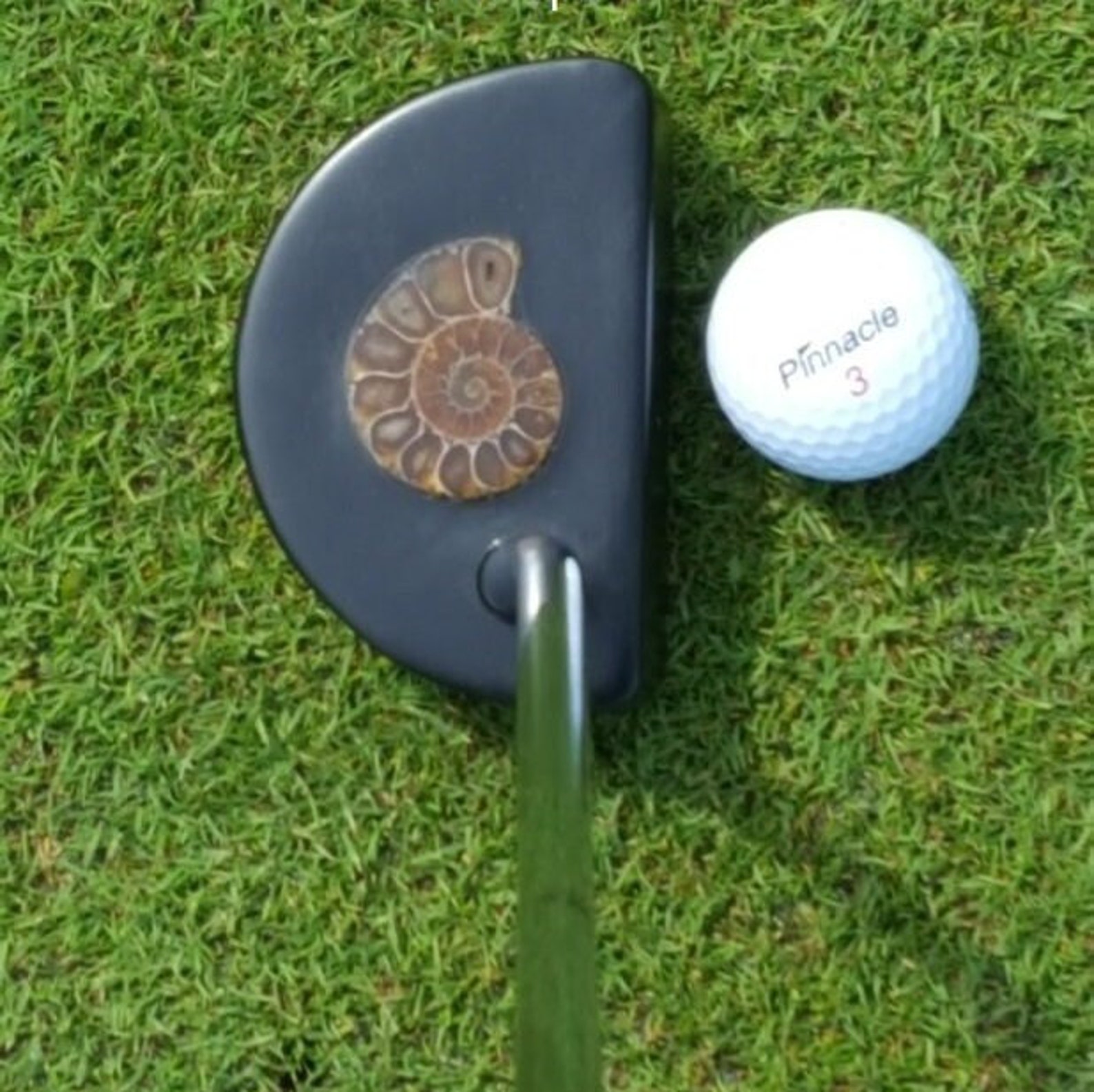 Stone Golf Putter - Fossil Series - Etsy