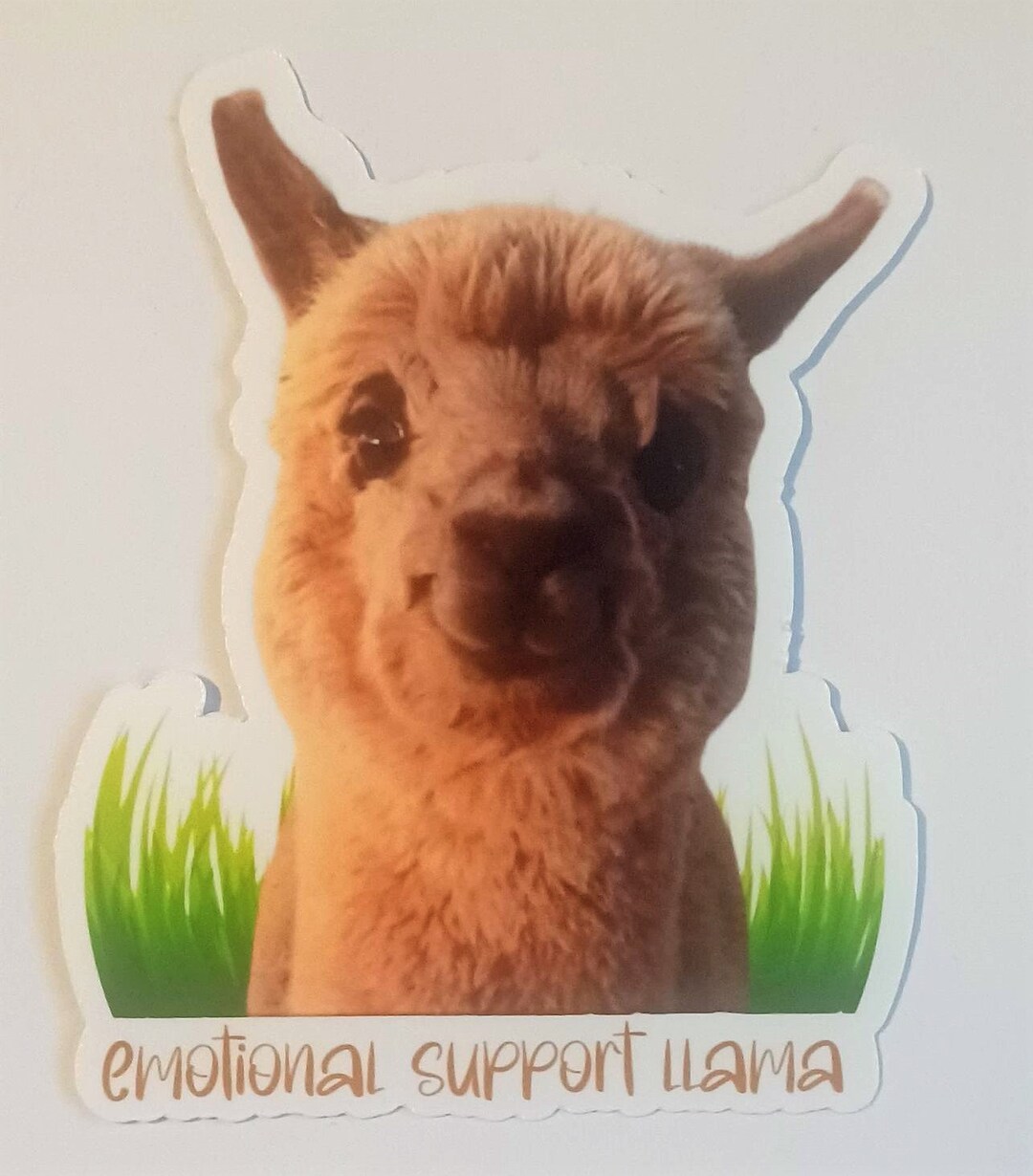 Emotional Support Llama Sticker - Mental Health Animal Decal - Etsy