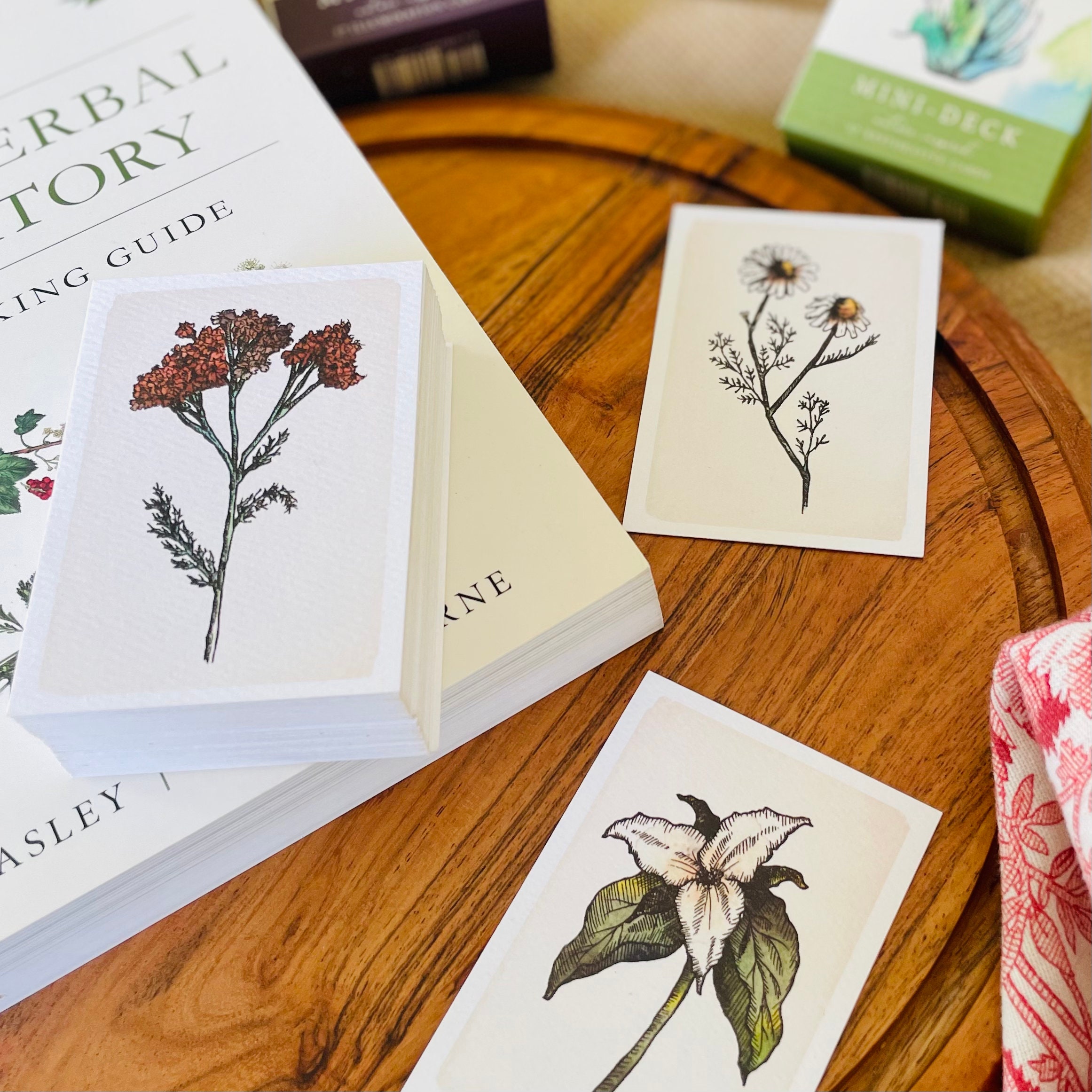 MINI-DECK Flora Healing 57 Cards Self Care Nature | Etsy