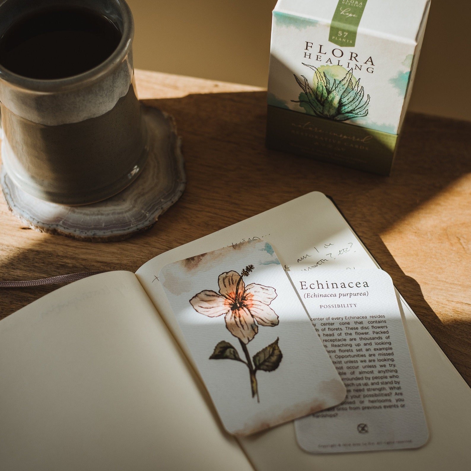 FLORA HEALING CARDS (deck Only | Box Not Included) - Etsy