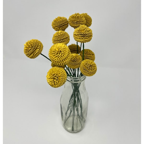 Craspedia Flowers - Etsy